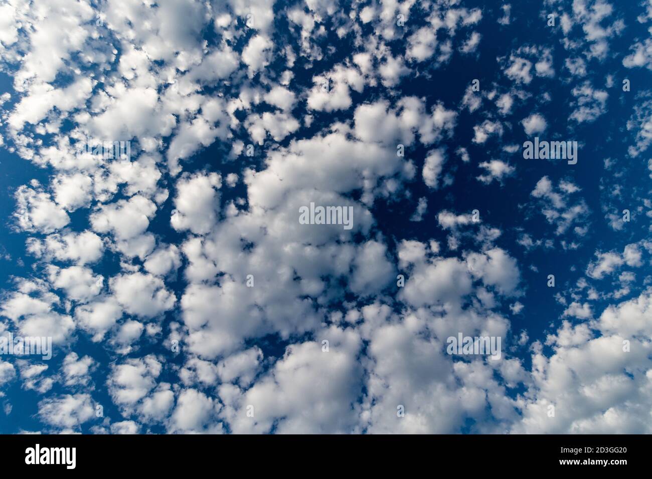 Looking upward, the fluffy clouds cover the deep blue sky over the ...