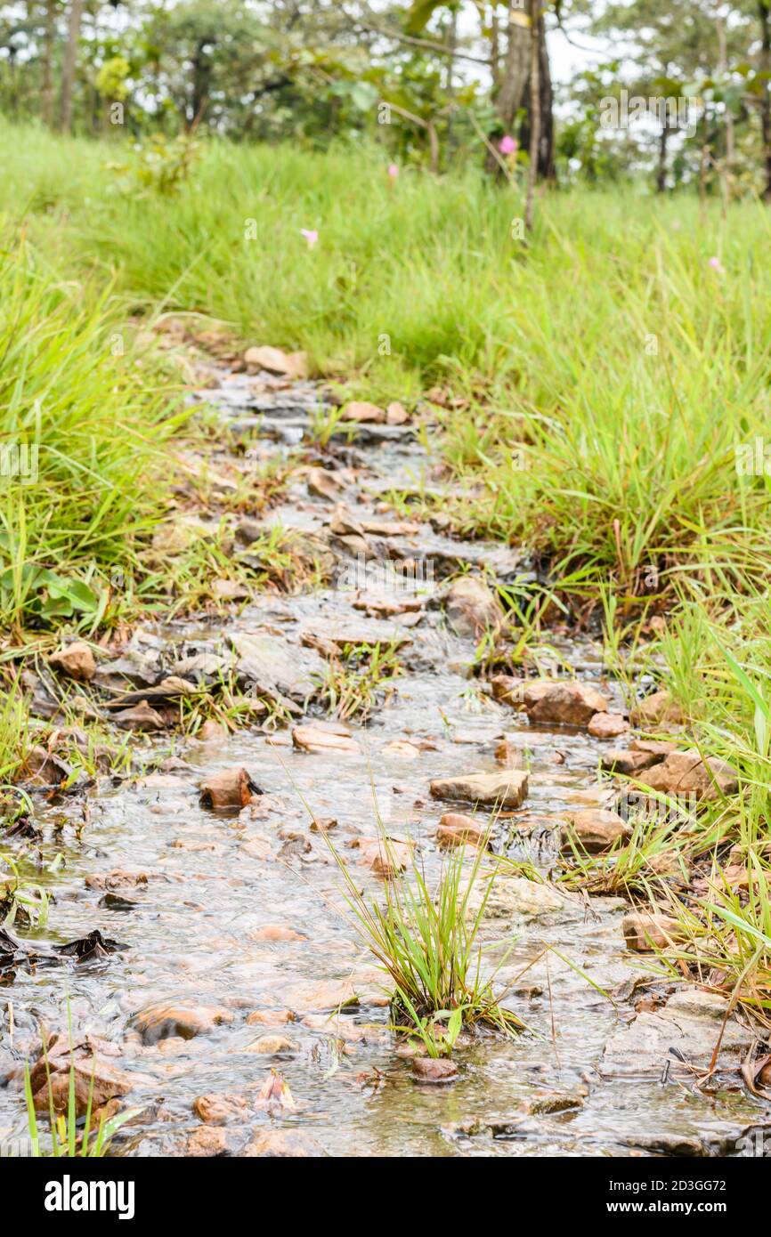 Wet in outdoor environment hi-res stock photography and images - Alamy