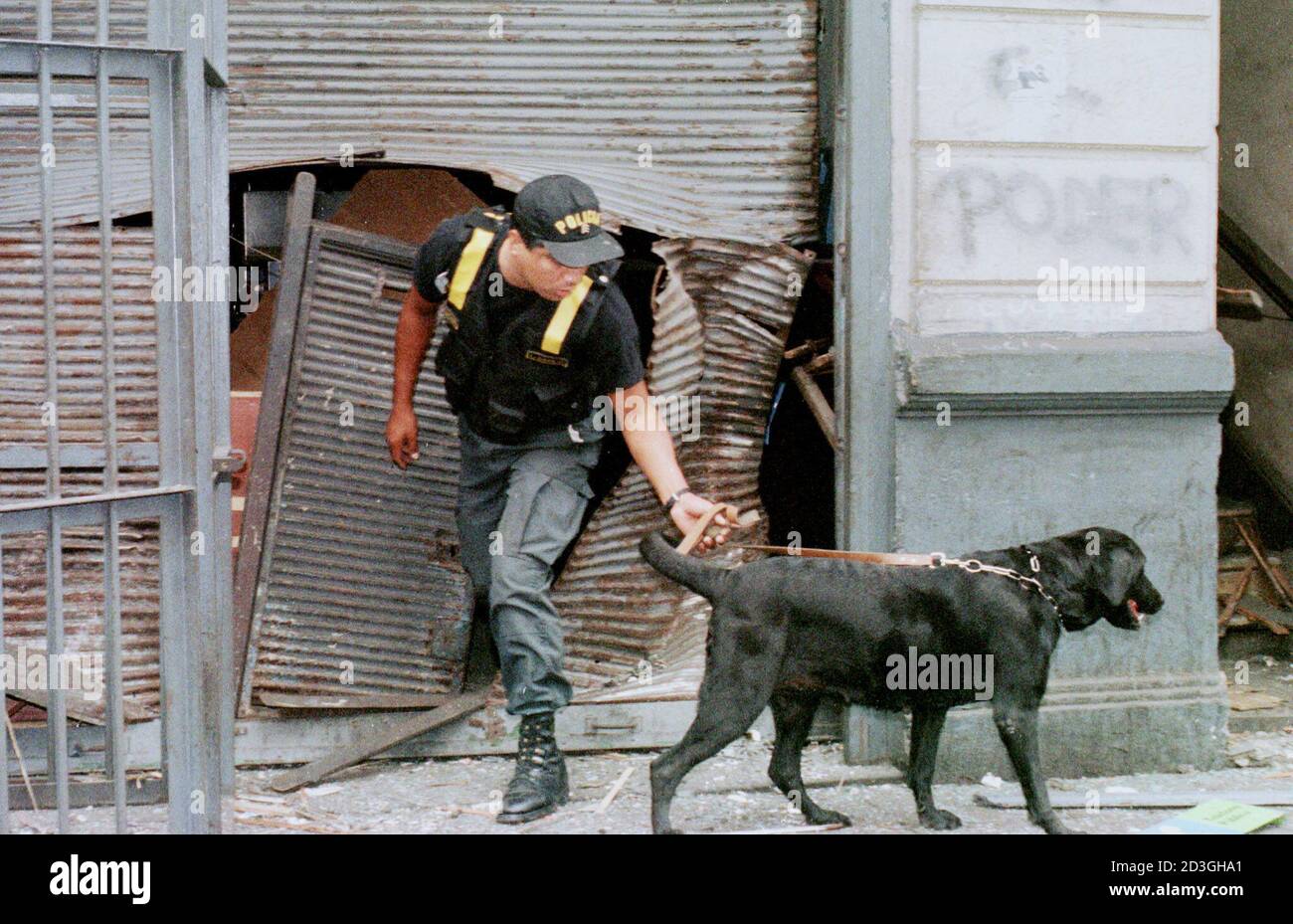 Injuried dog hi-res stock photography and images - Alamy