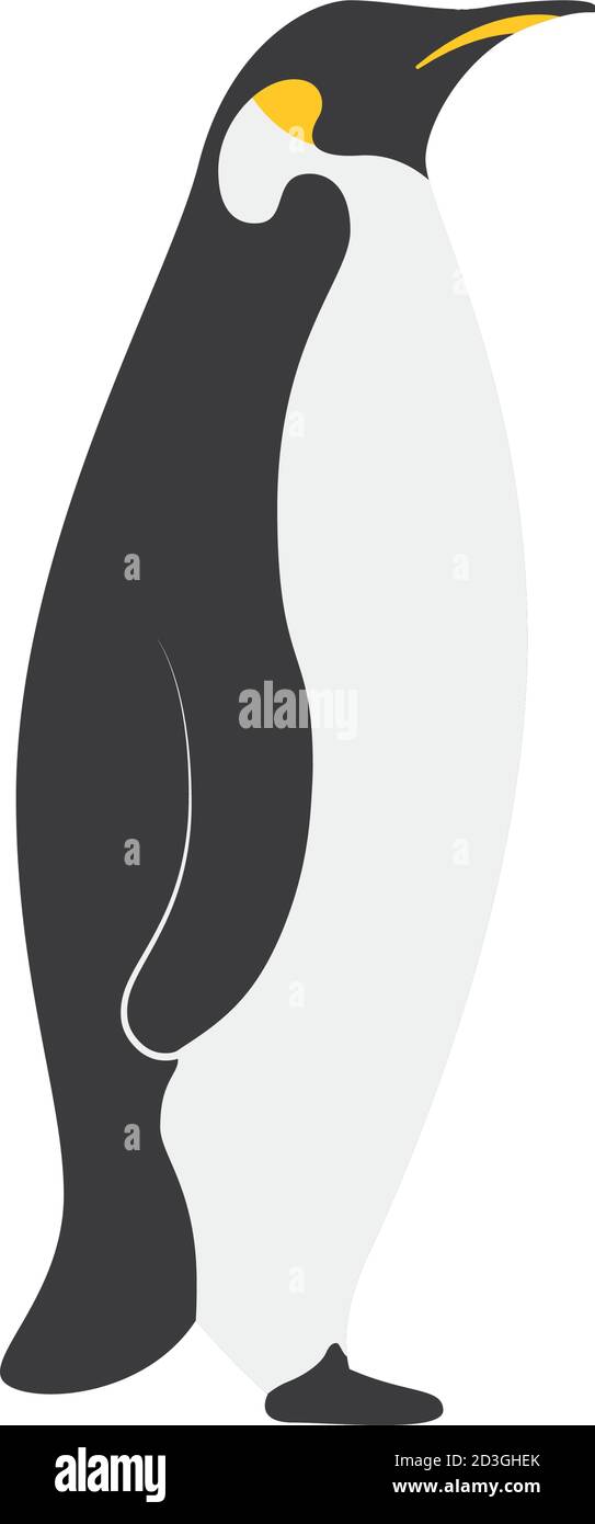 little cute penguin bird character vector illustration design Stock ...