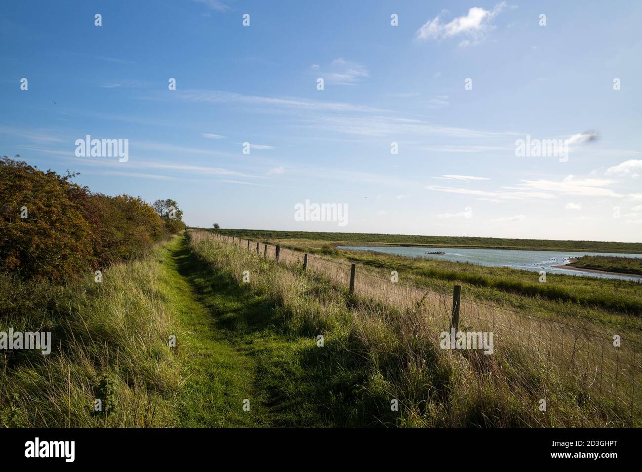 Tidal saltmarsh hi-res stock photography and images - Alamy