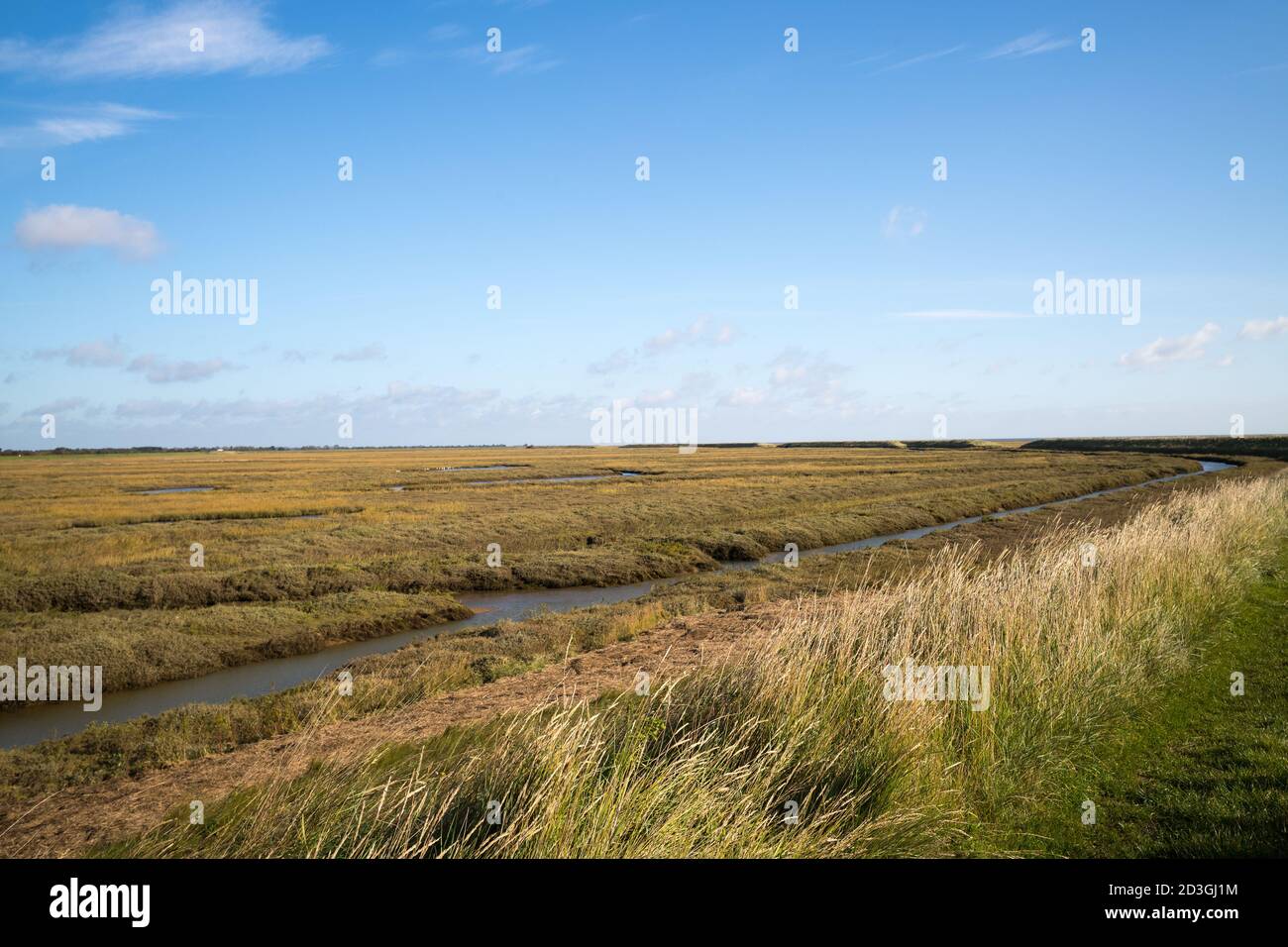 Tidal saltmarsh hi-res stock photography and images - Alamy