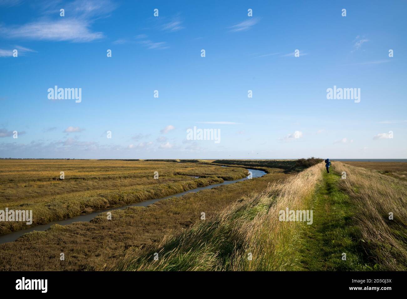 Freiston Shore Nature Reserve High Resolution Stock Photography and ...