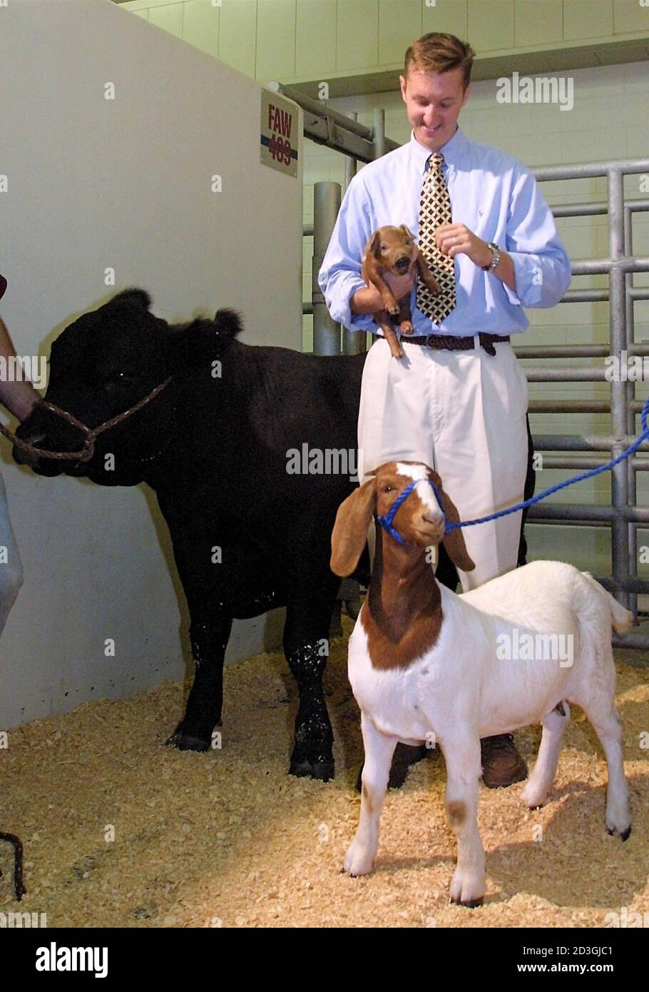 University goats hi-res stock photography and images - Alamy