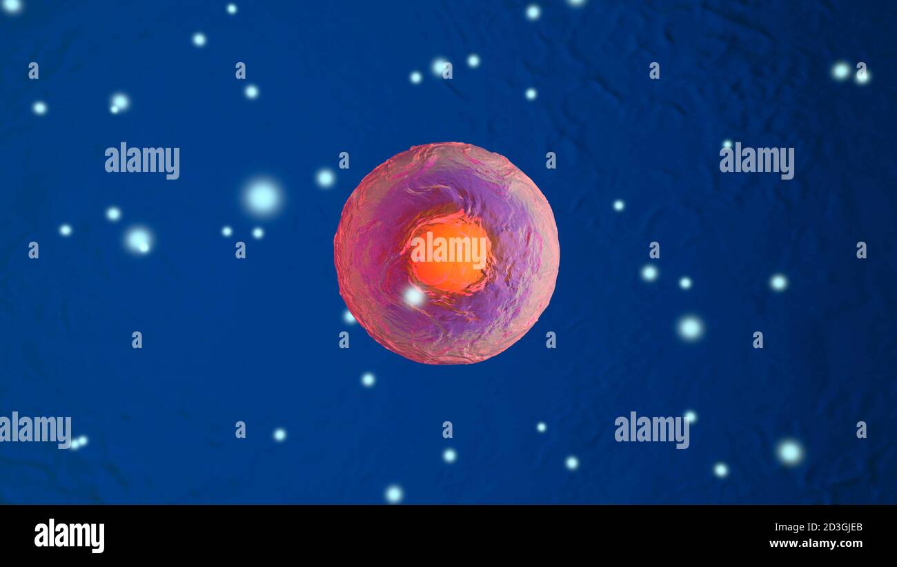 3D Illustration of Mitosis or cell division of biological stem cells ...