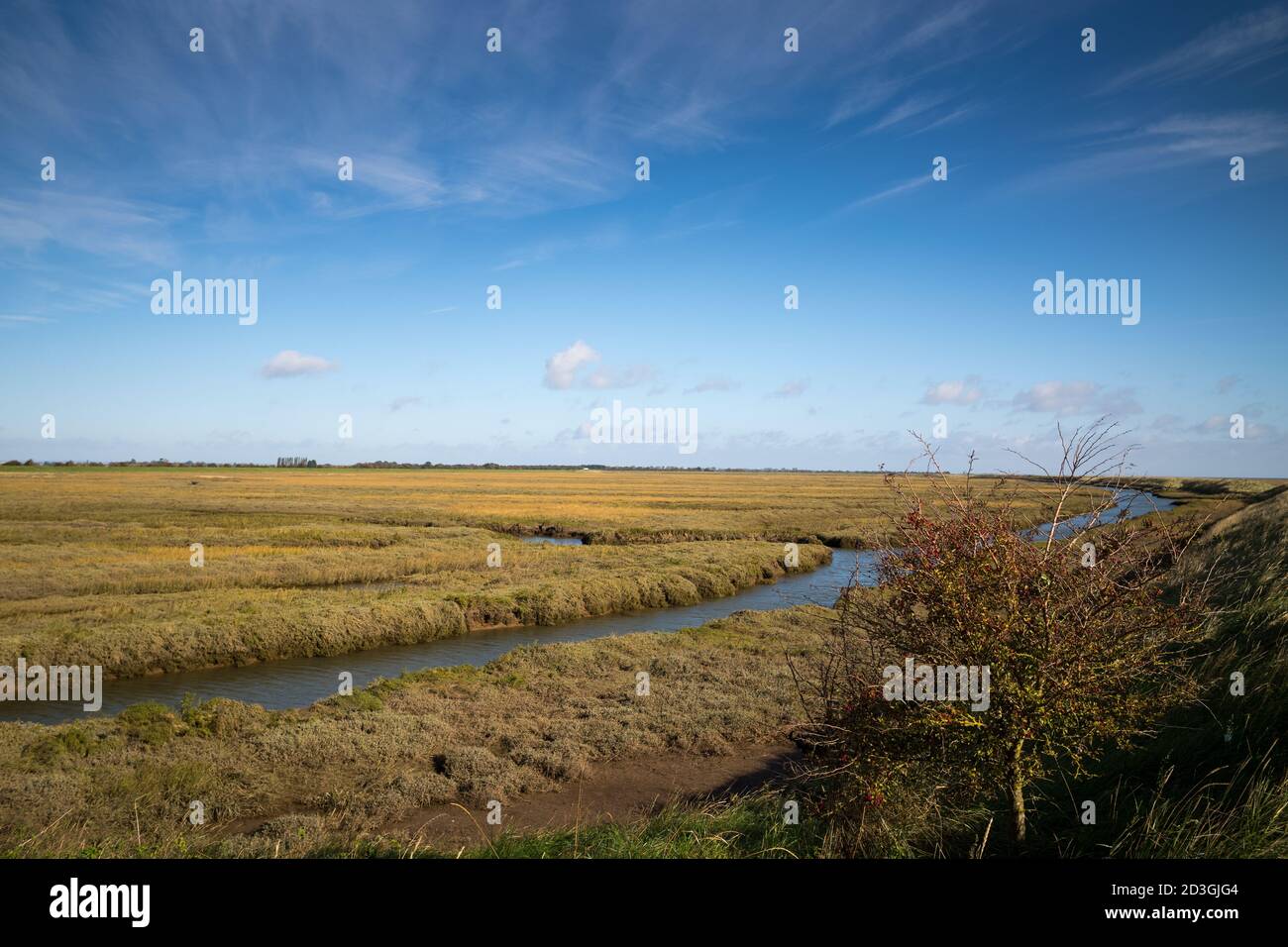 Tidal saltmarsh hi-res stock photography and images - Alamy