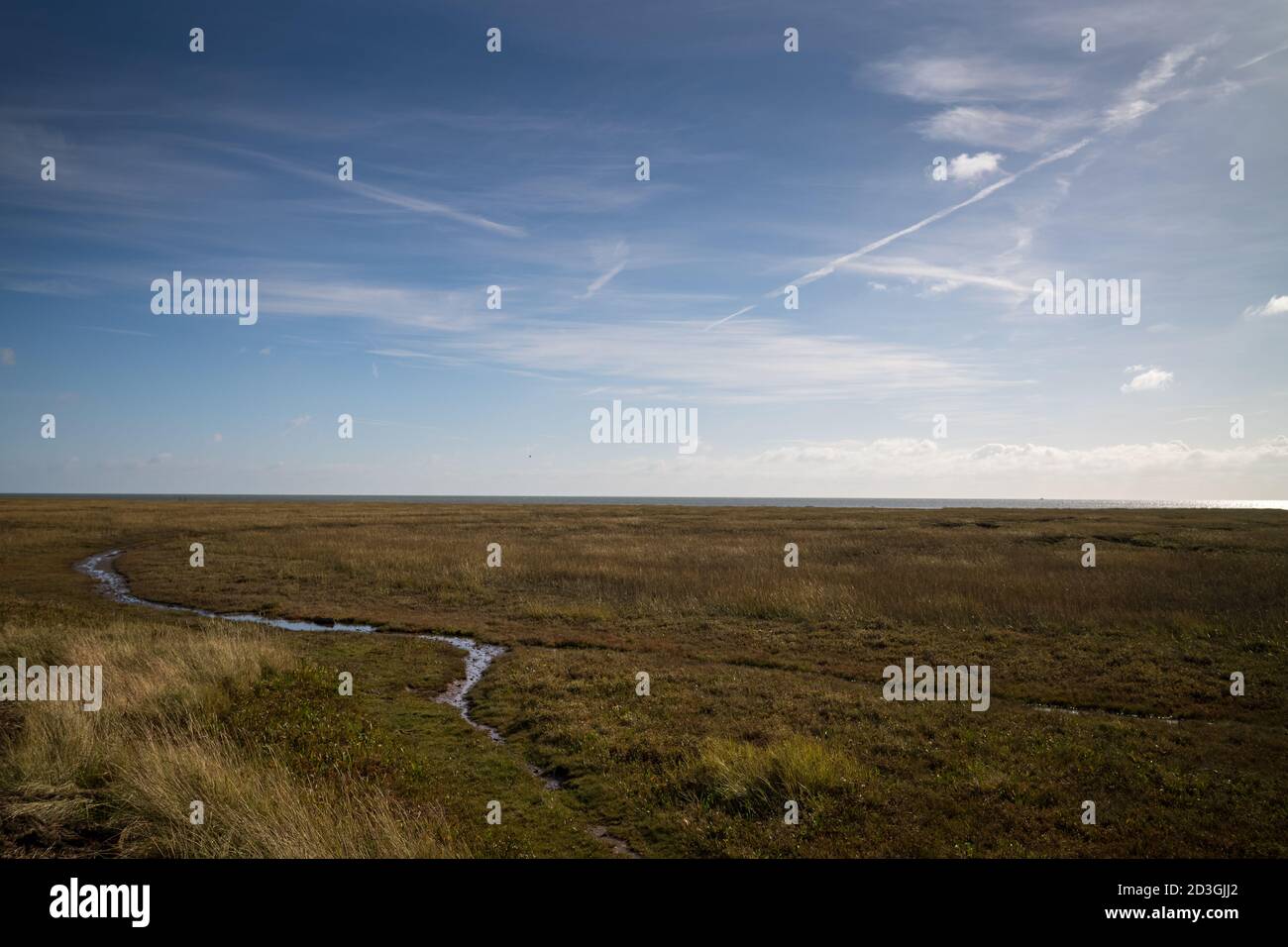 Freiston shore nature reserve hi-res stock photography and images - Alamy