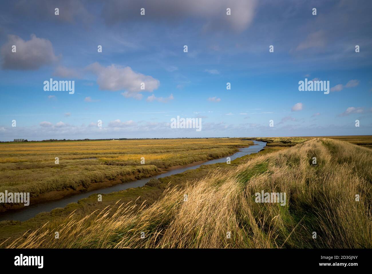 Tidal saltmarsh hi-res stock photography and images - Alamy