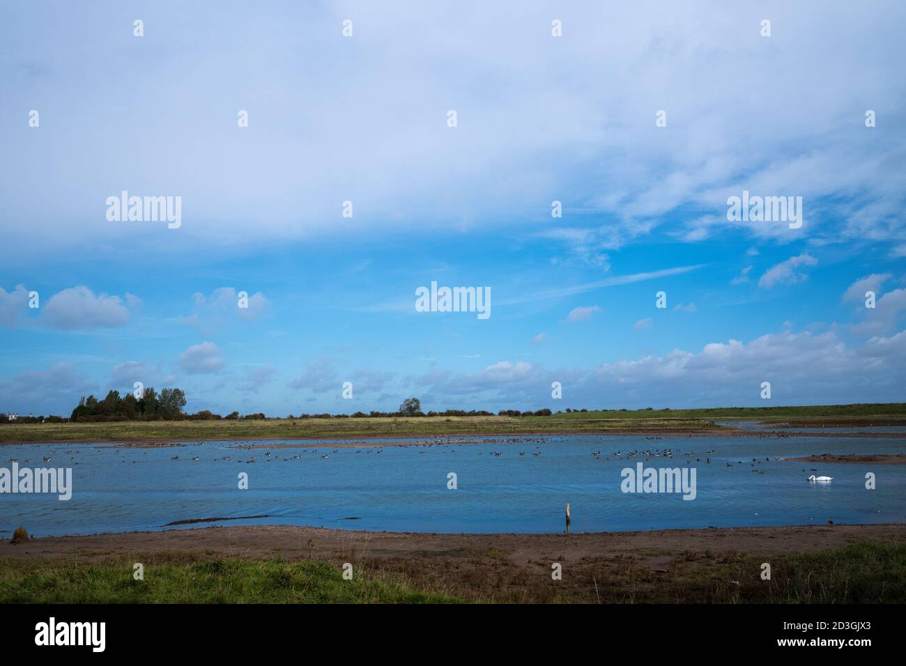 Blue lagoon nature reserve, uk hi-res stock photography and images - Alamy