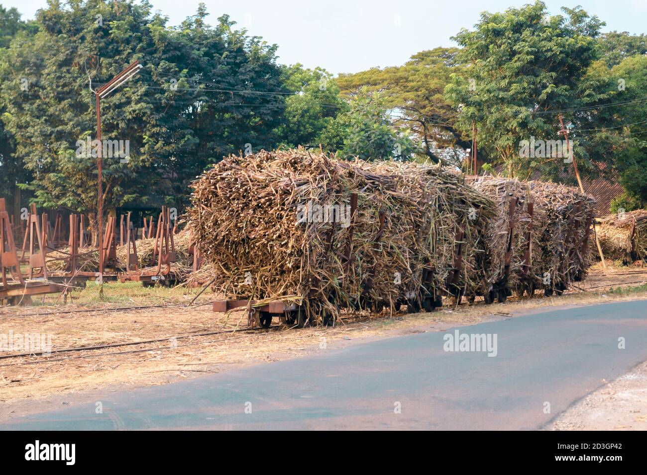 Steam locomotive sugar cane train hi-res stock photography and images ...