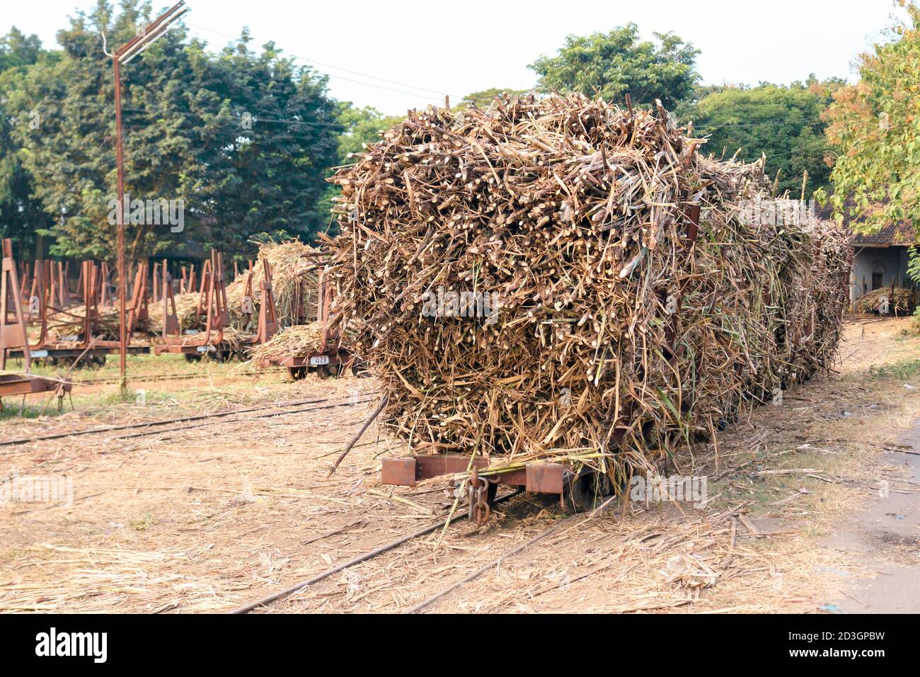 Steam locomotive sugar cane train hi-res stock photography and images ...