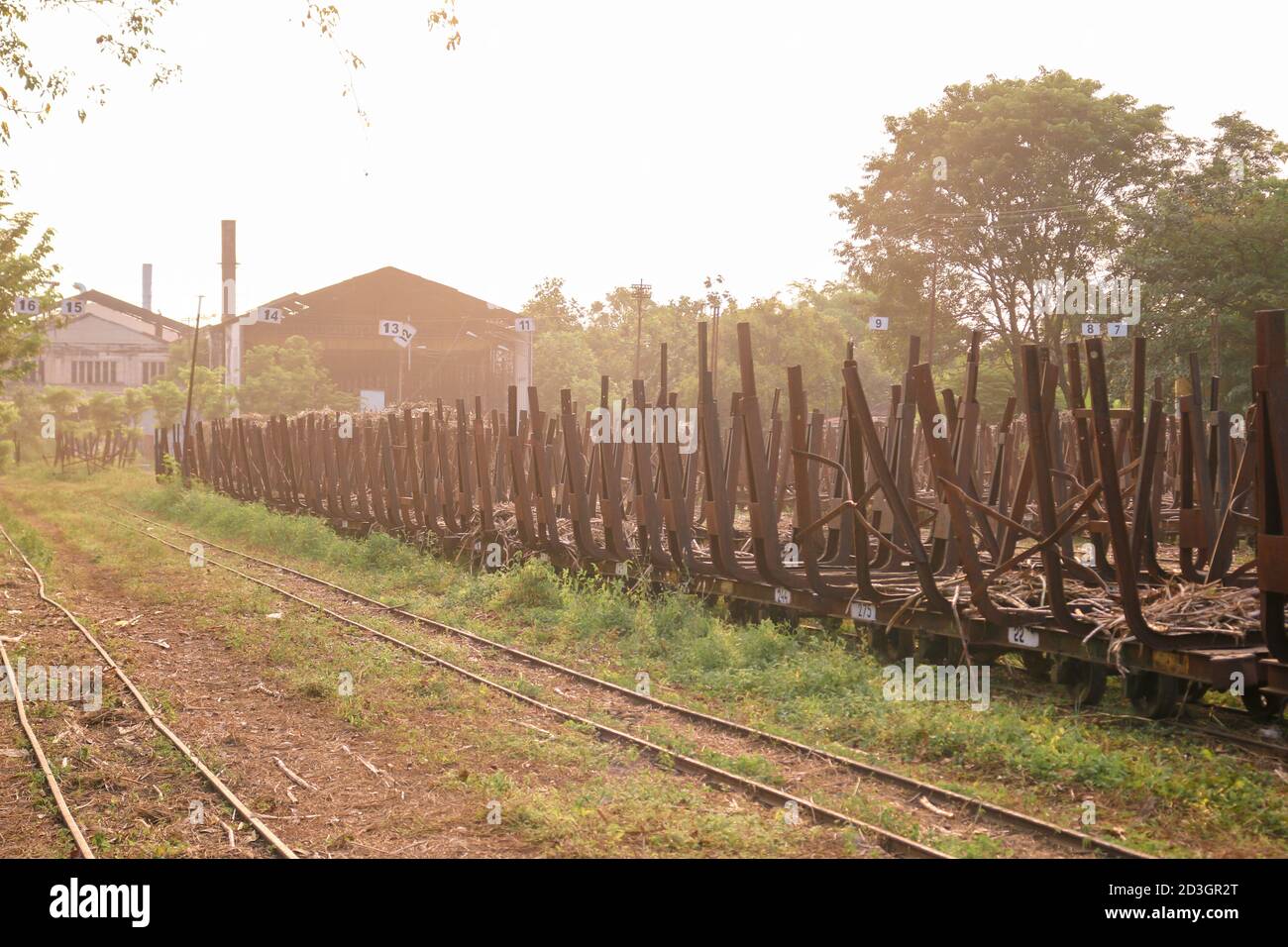 Steam locomotive sugar cane train hi-res stock photography and images ...