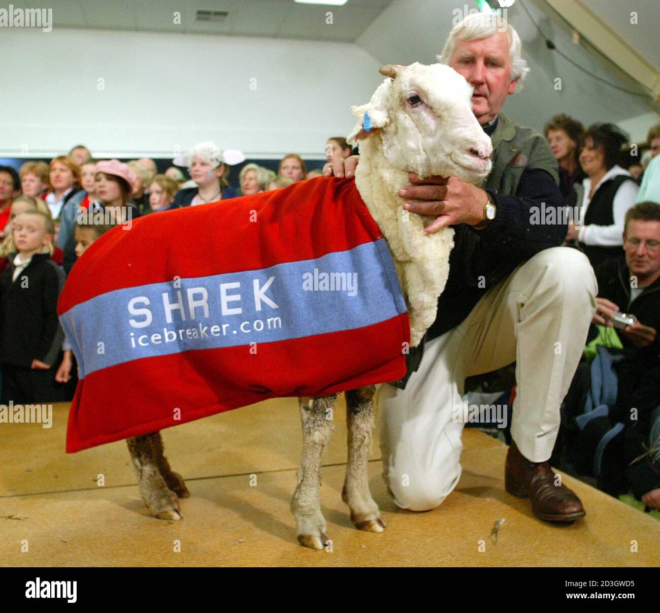 Shrek Sheep High Resolution Stock Photography and Images - Alamy
