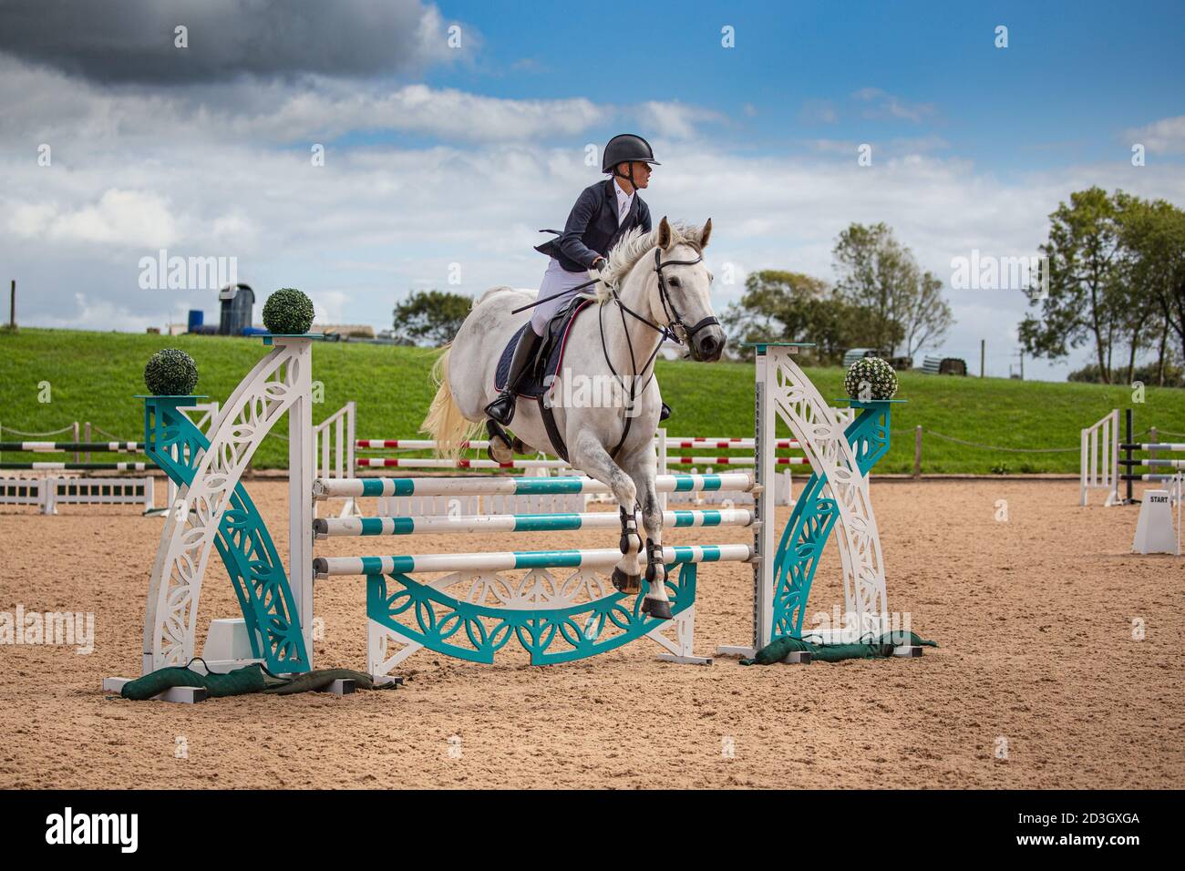 Horse riders competing in a showjumping competition Stock Photo - Alamy