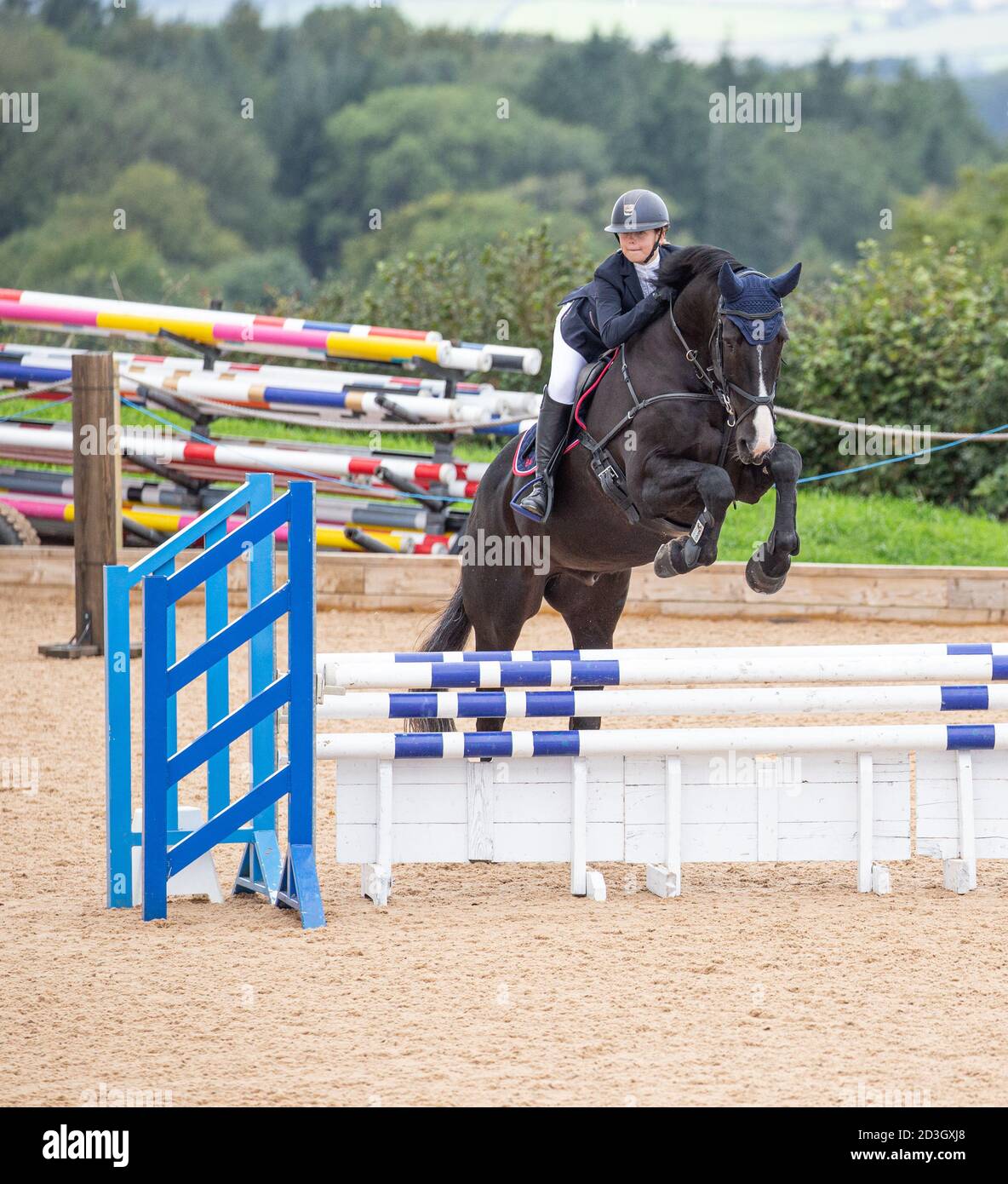 Horse riders competing in a showjumping competition Stock Photo - Alamy