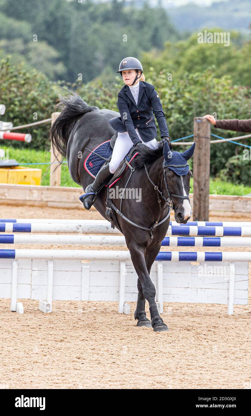 Horse riders competing in a showjumping competition Stock Photo - Alamy