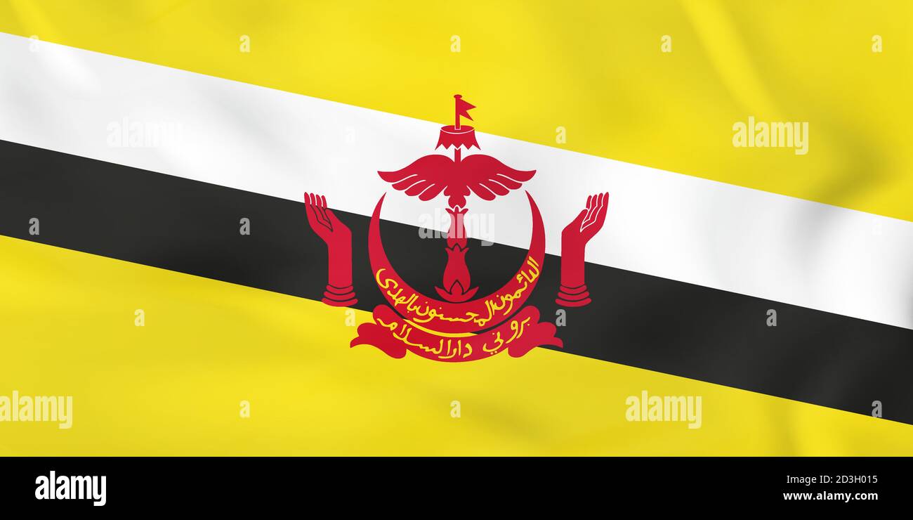Brunei waving flag. Brunei national flag background texture. Vector ...