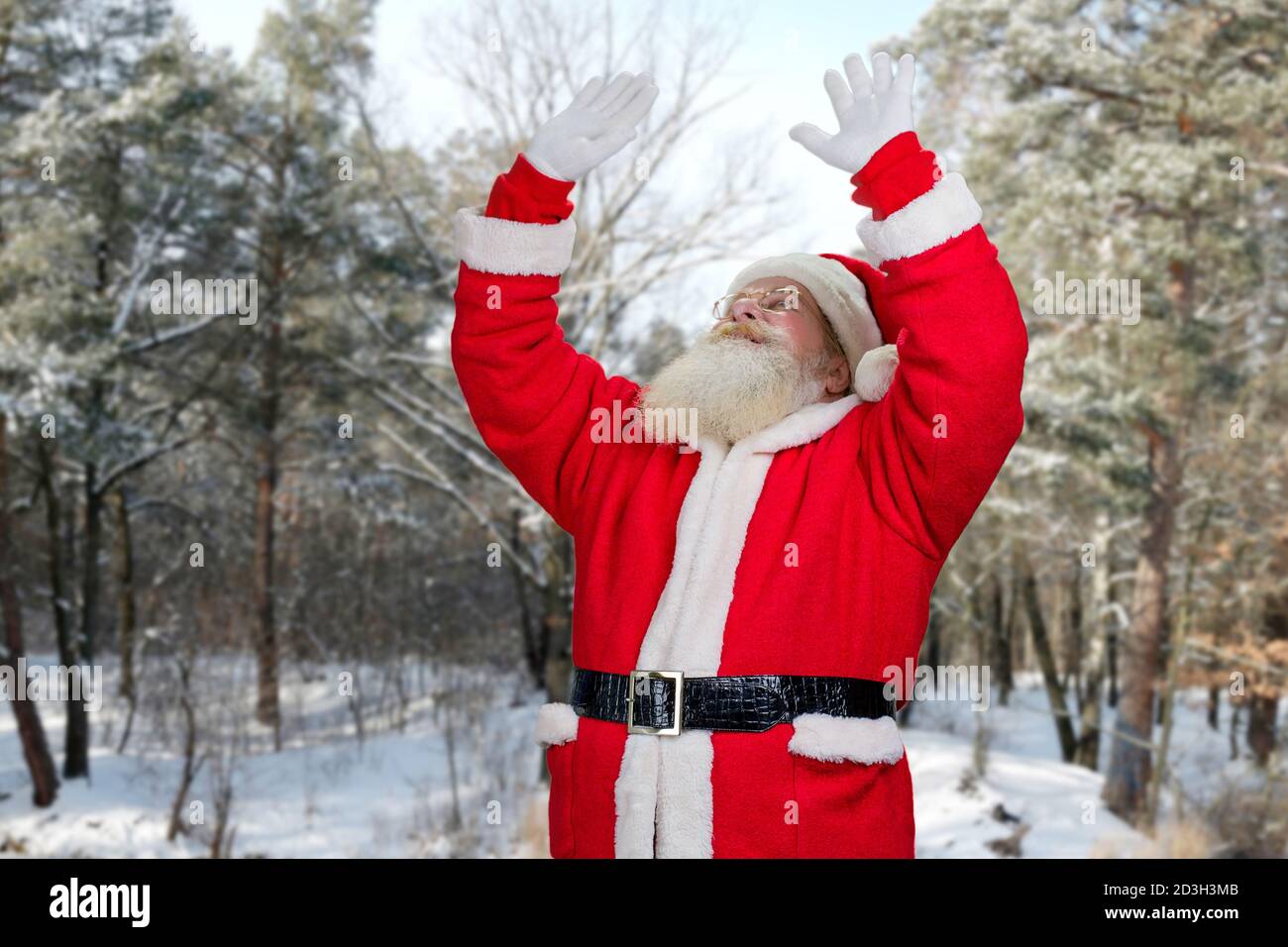 Bearded Santa Claus on nature background Stock Photo - Alamy