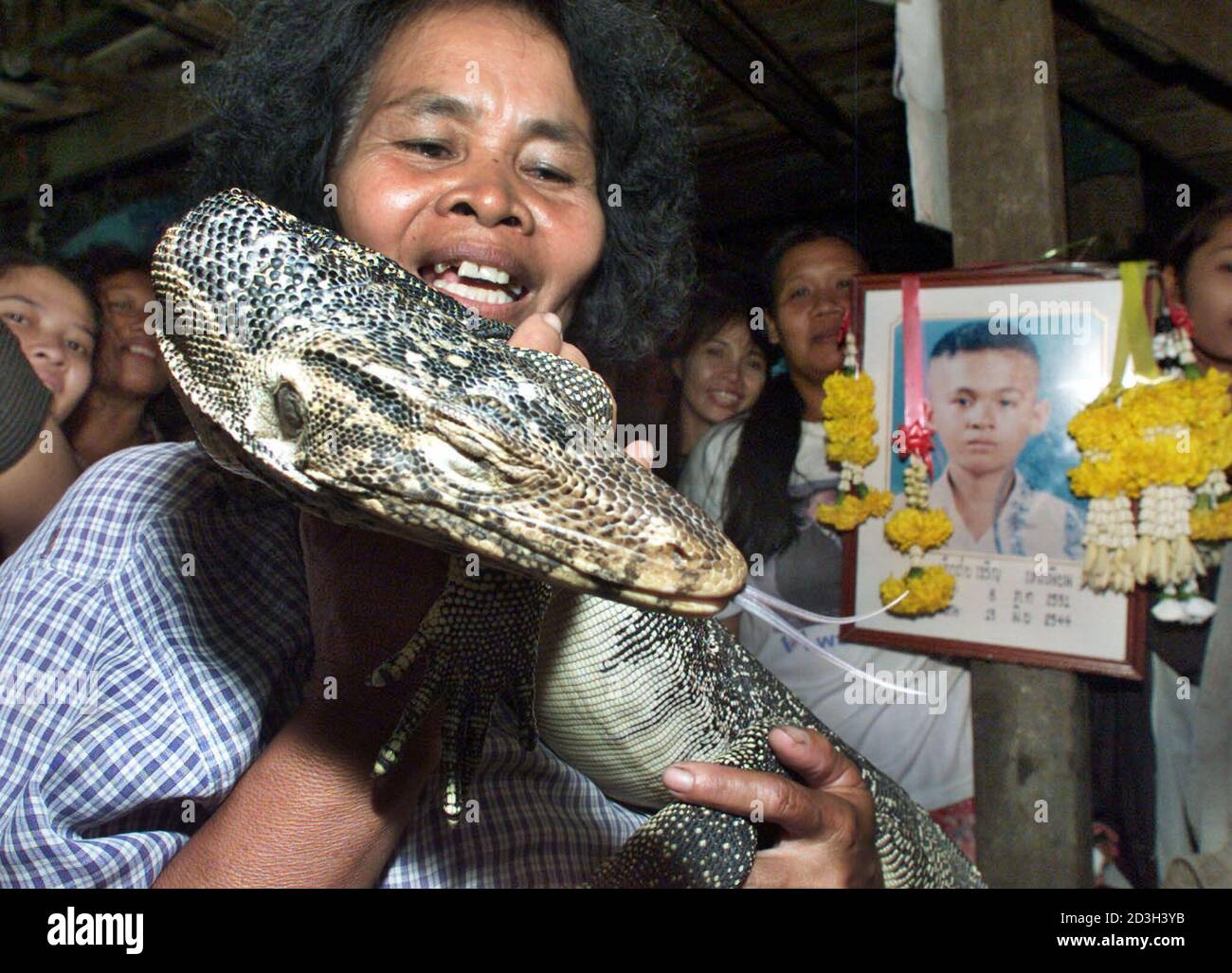 Good mother lizard hi-res stock photography and images - Alamy