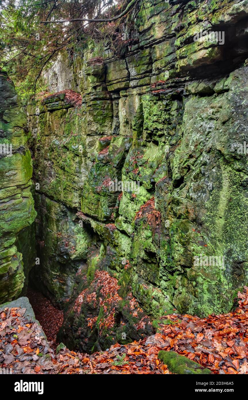 View of the north entrance of the deep and ancient opencut from lead ...
