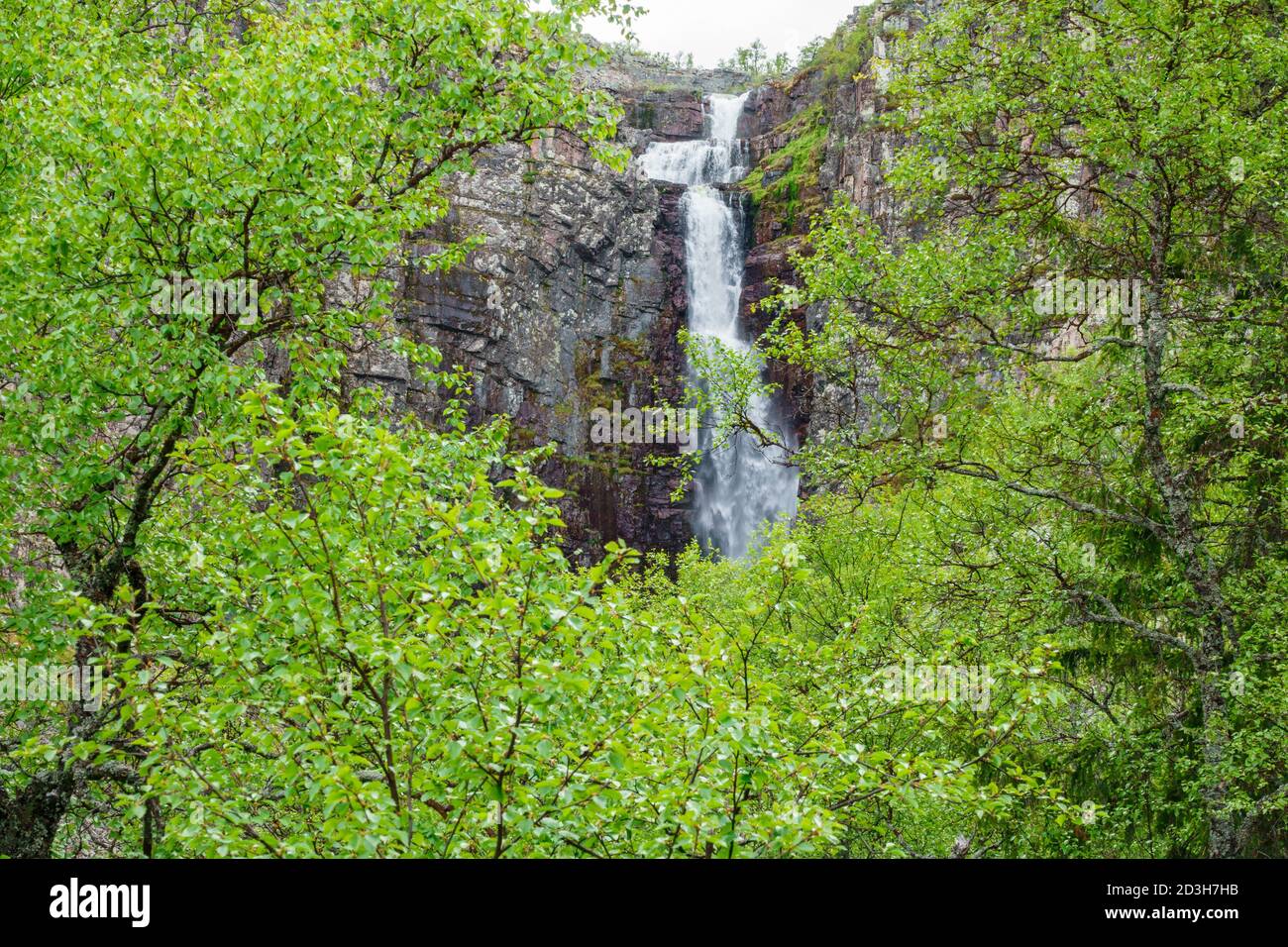 Waterfall in lush forest hi-res stock photography and images - Alamy
