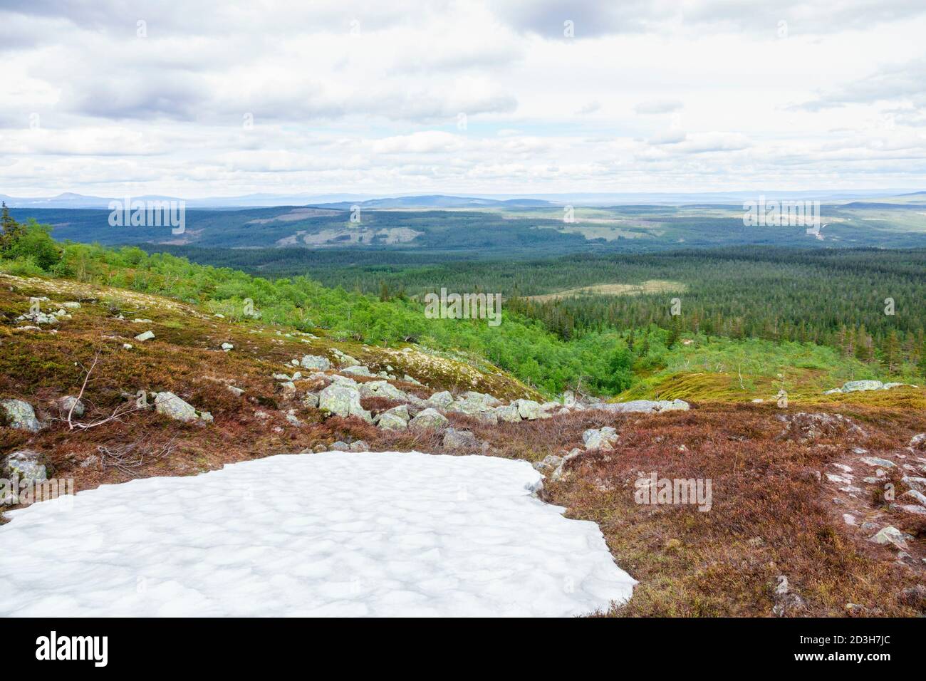 Snow field on a hillside of a mountain Stock Photo - Alamy