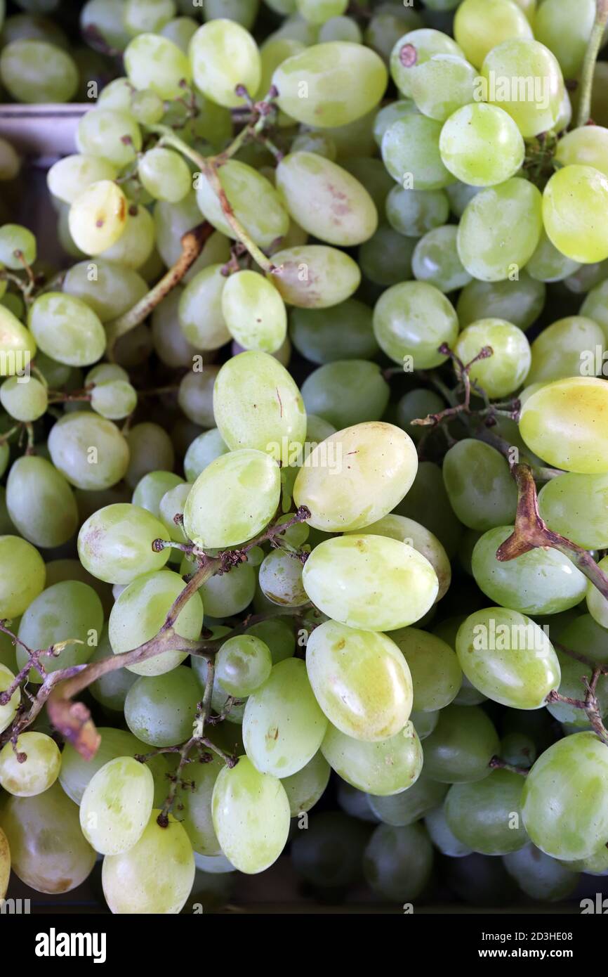 Organic white grapes on a market in daylight Stock Photo - Alamy