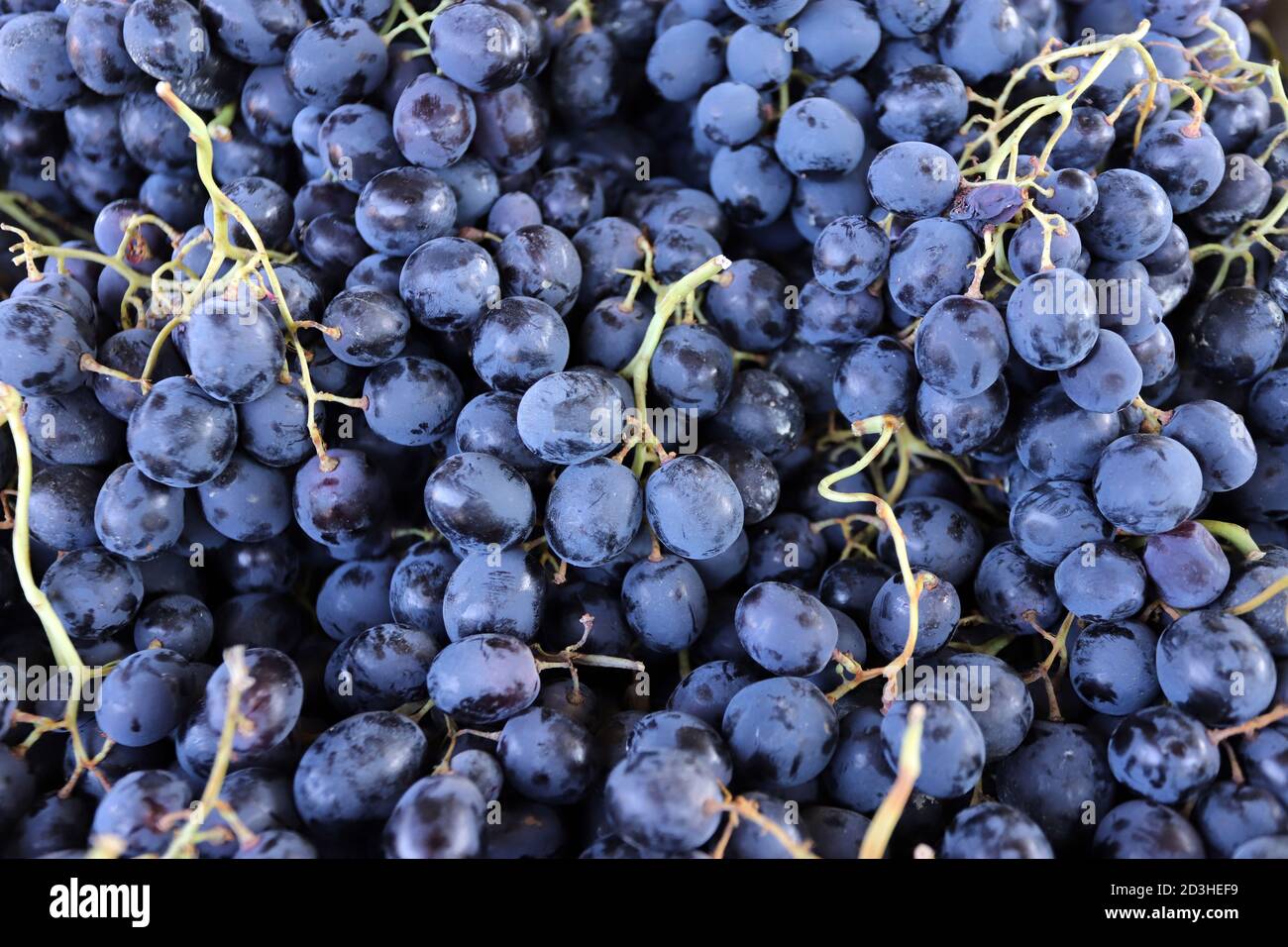 Grapes texture hi-res stock photography and images - Alamy
