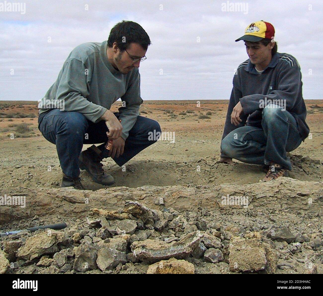 Like a dolphin hi-res stock photography and images - Alamy