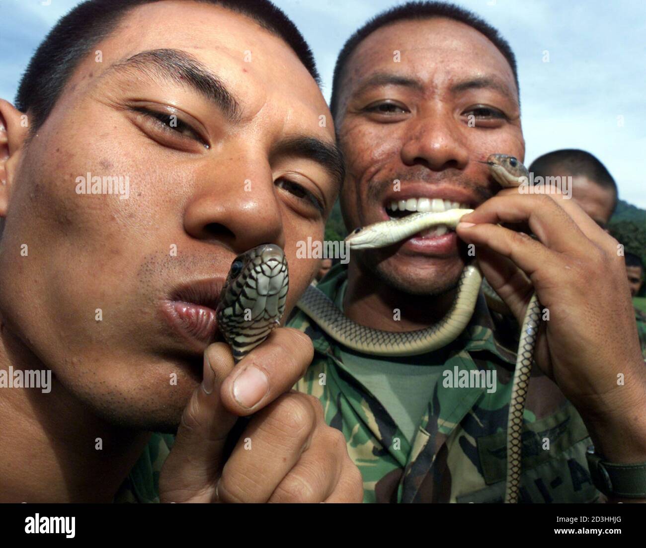 Play with snakes hi-res stock photography and images - Alamy