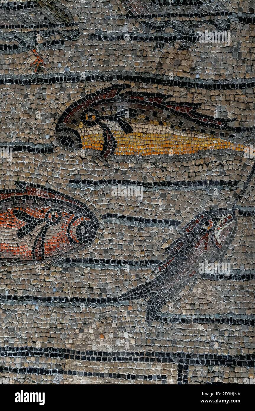 Fish, representing people drawn into the Kingdom of Heaven, by line or ...