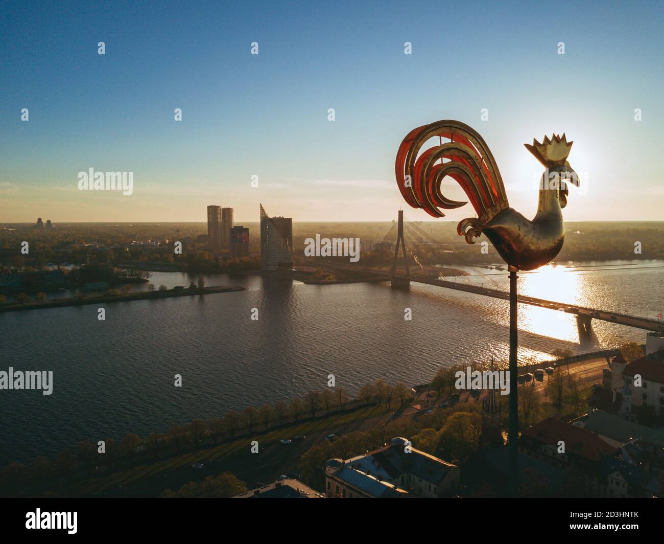 City rooster hi-res stock photography and images - Alamy