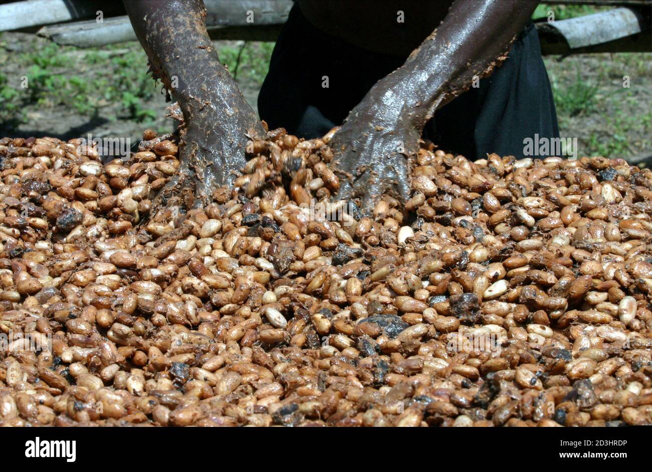 Farmgate hi-res stock photography and images - Alamy