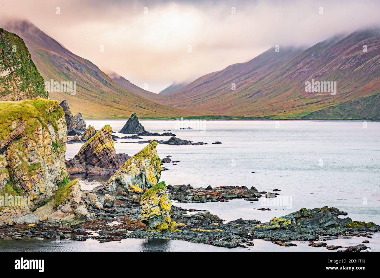 Commander islands russia hi-res stock photography and images - Alamy