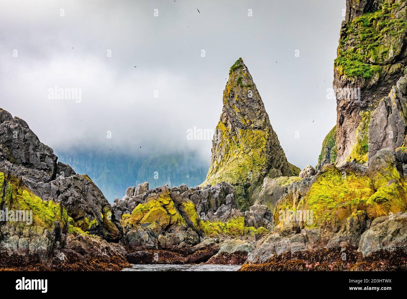 Commander islands russia hi-res stock photography and images - Alamy