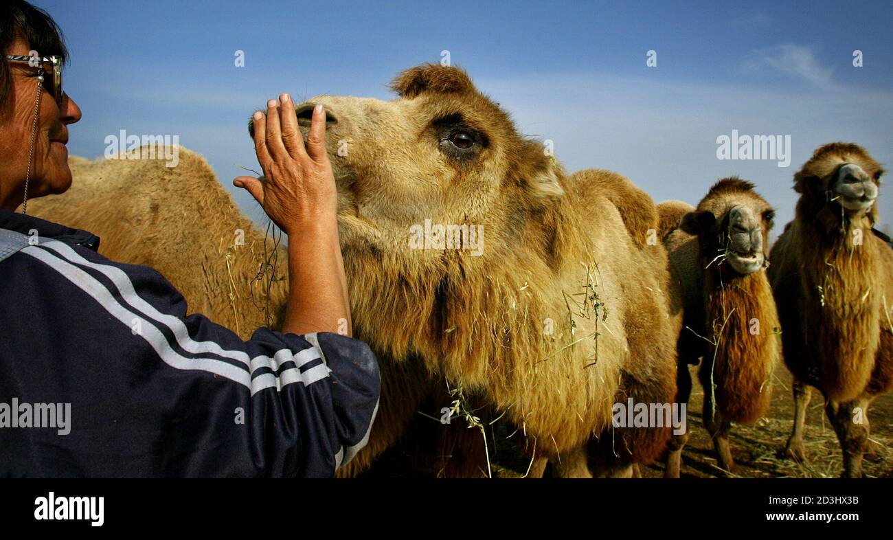 Sofia kind hi-res stock photography and images - Alamy