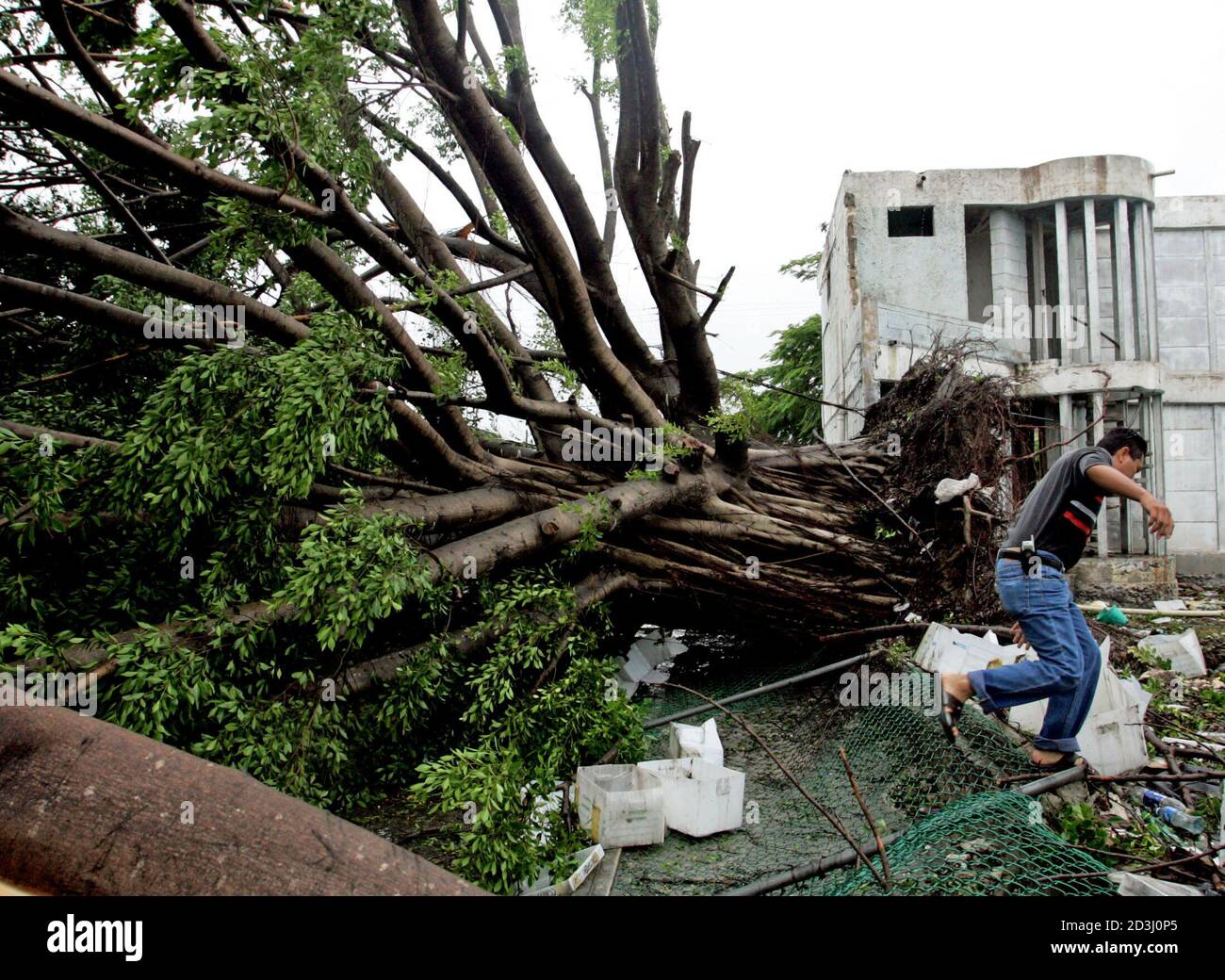 Mexico riviera maya hurricane hi-res stock photography and images - Alamy