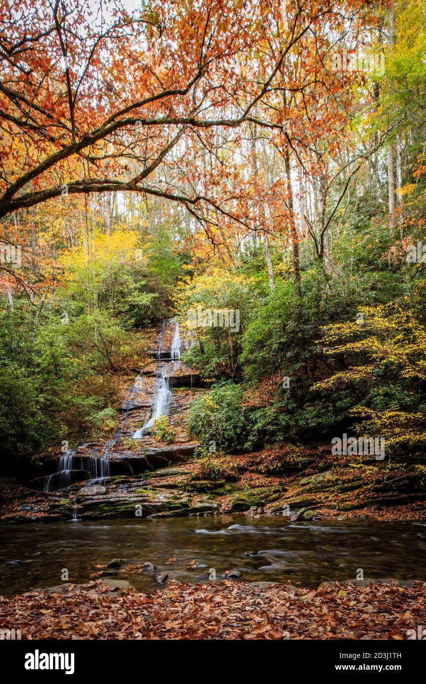 Autumn colors in the Smoky Mountains Stock Photo - Alamy
