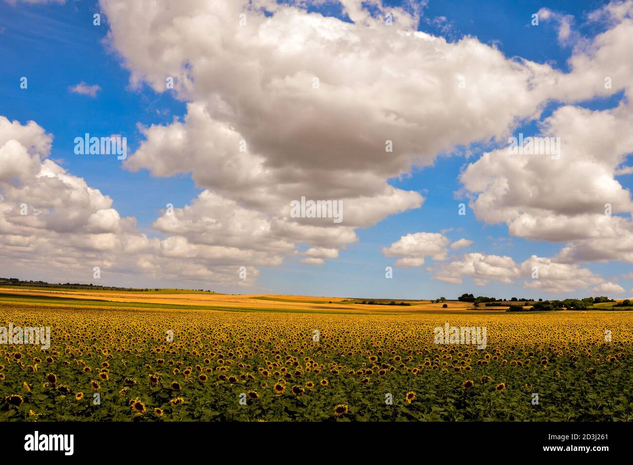 European natural countryside Stock Photo - Alamy