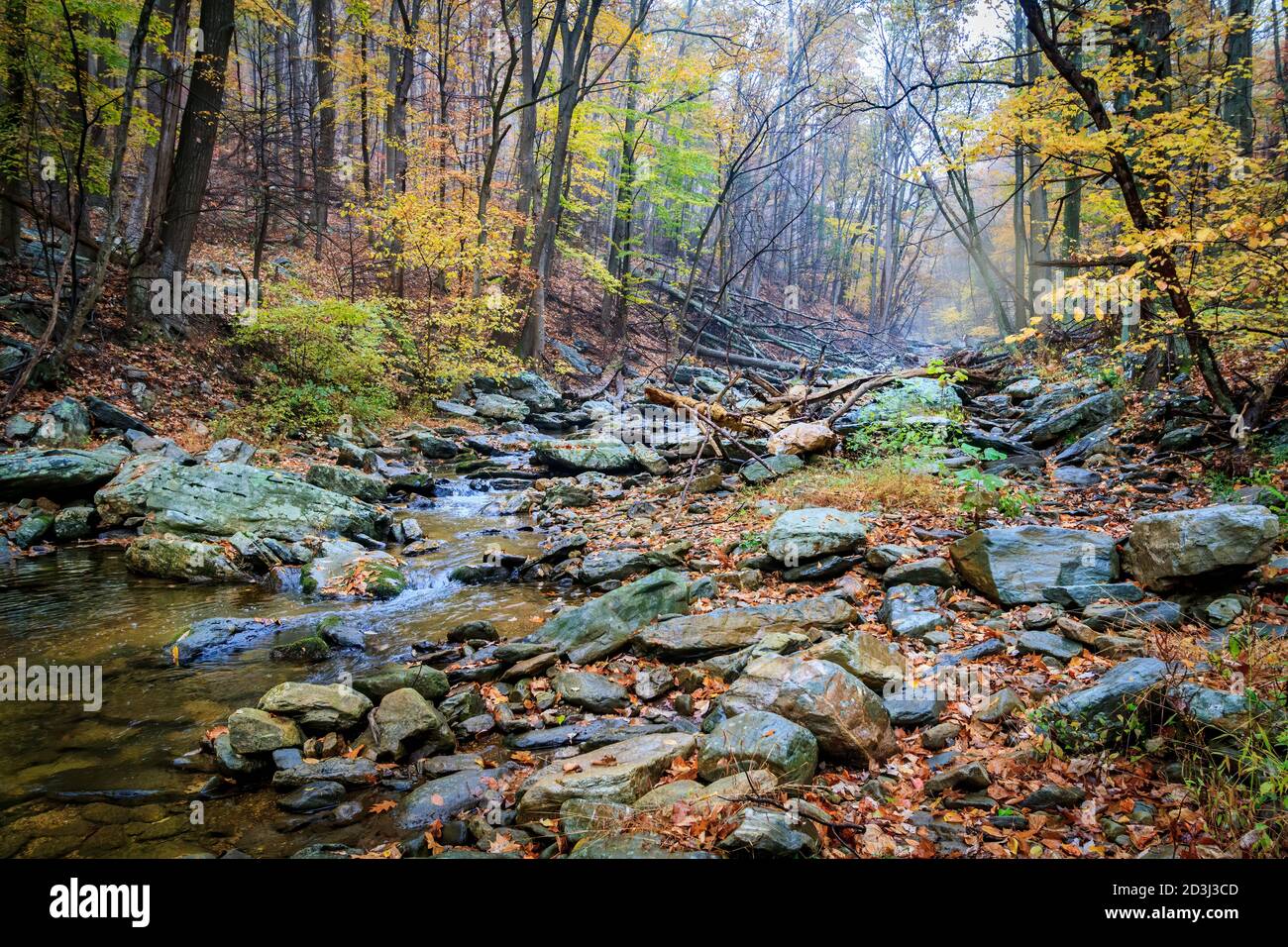 Place to contemplate hi-res stock photography and images - Alamy