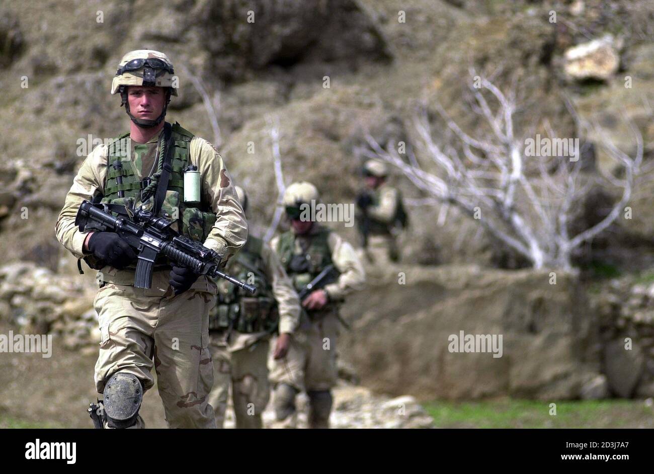 From Favila High Resolution Stock Photography and Images - Alamy