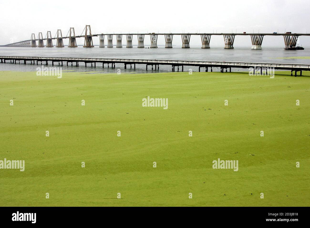 Clogging of waterways hi-res stock photography and images - Alamy