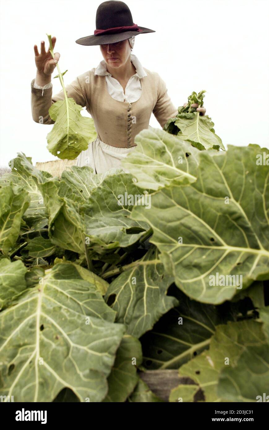 Kathleen frances hi-res stock photography and images - Alamy