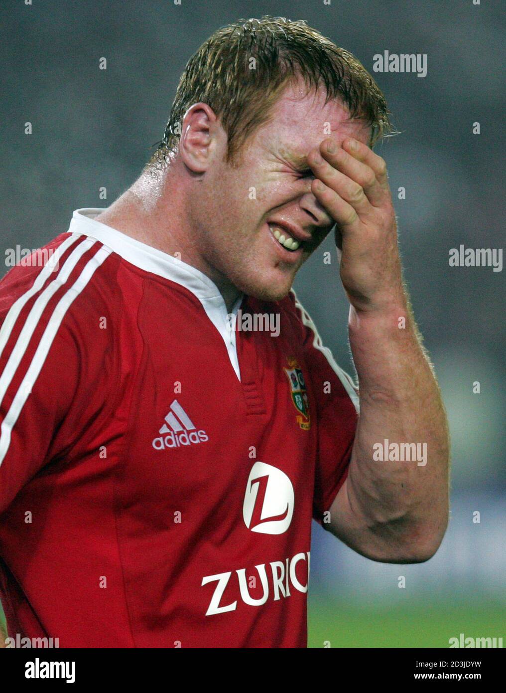 Lions simon shaw hi-res stock photography and images - Alamy