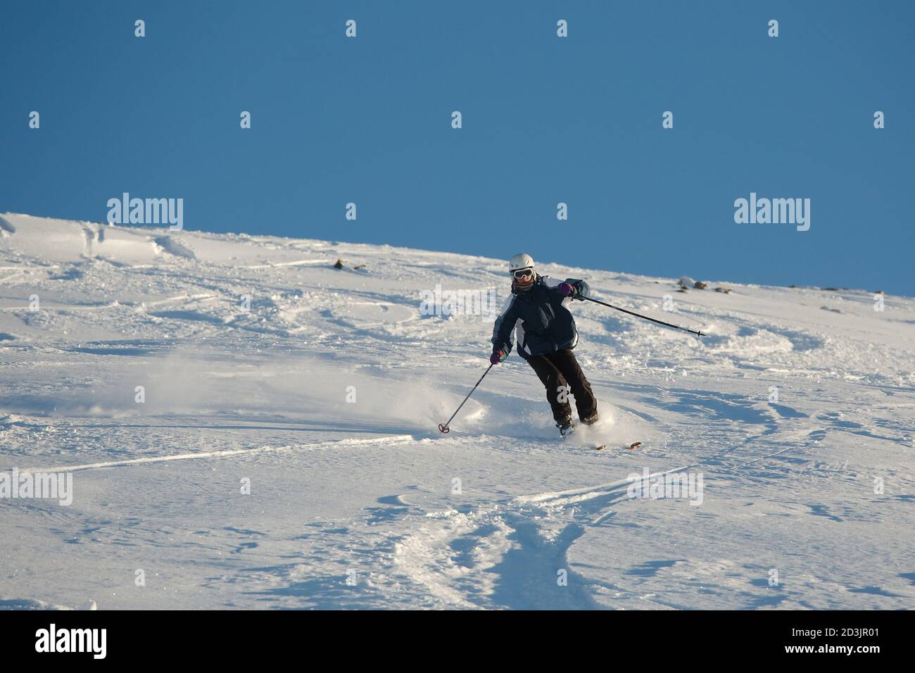 Skiing in fresh powder snow Stock Photo - Alamy