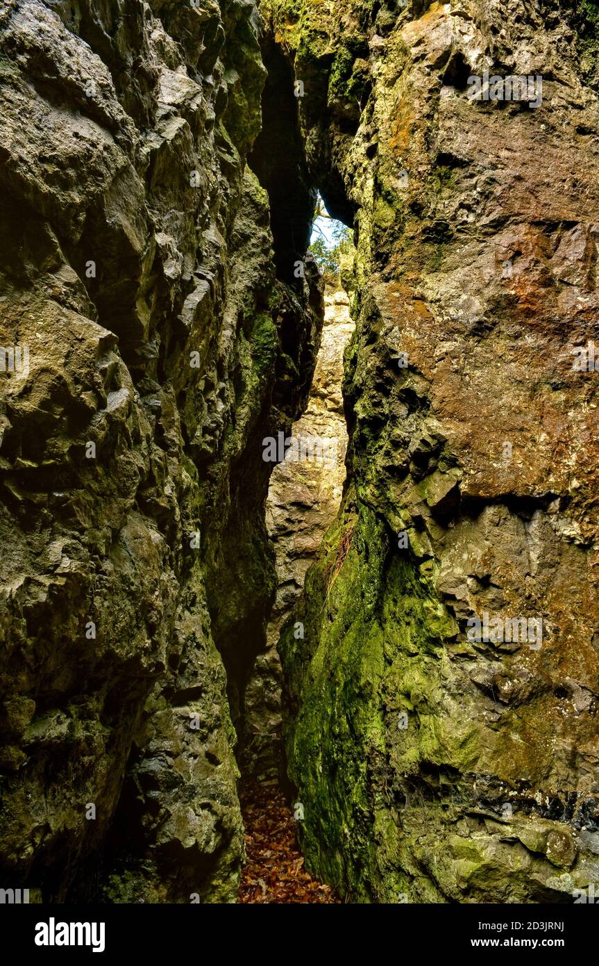Opencuts hi-res stock photography and images - Alamy