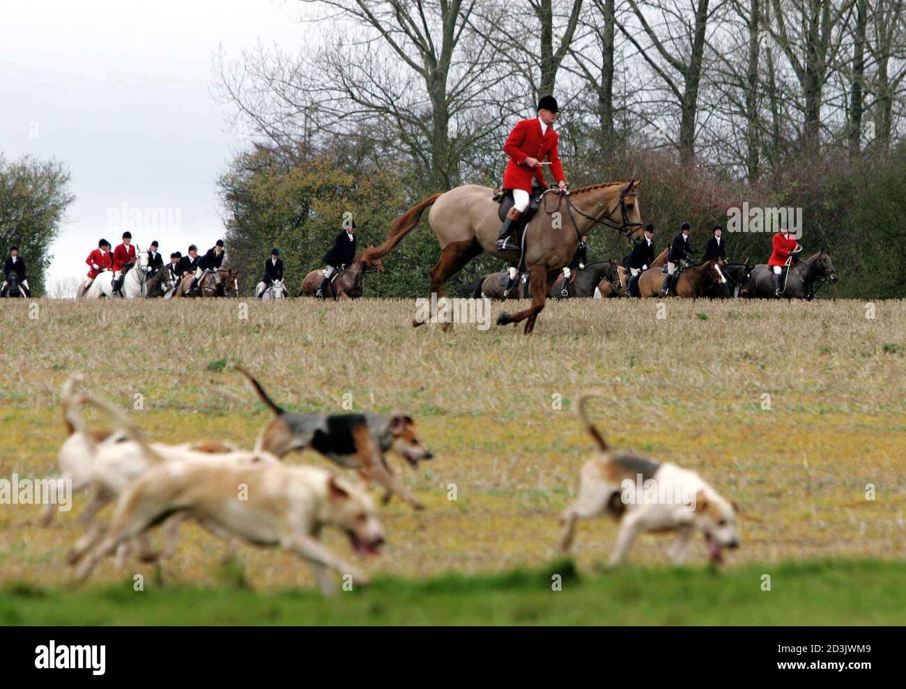 The whaddon chase hi-res stock photography and images - Alamy