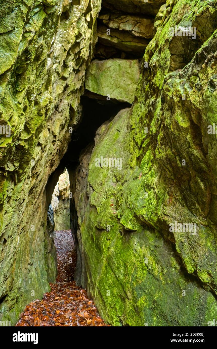 Ancient opencuts from lead mining on a vein called Hard Rake, on the ...