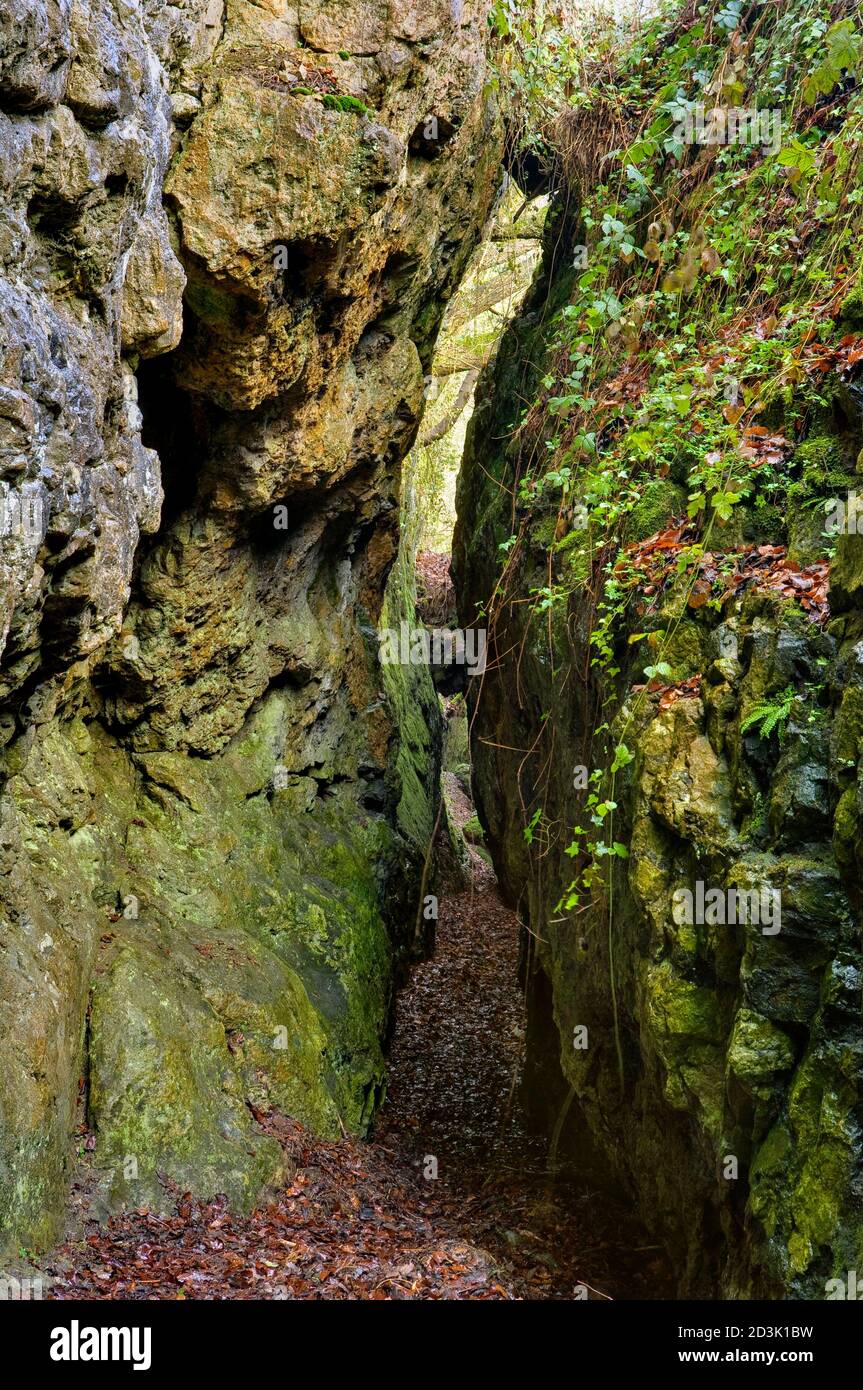 Opencuts hi-res stock photography and images - Alamy
