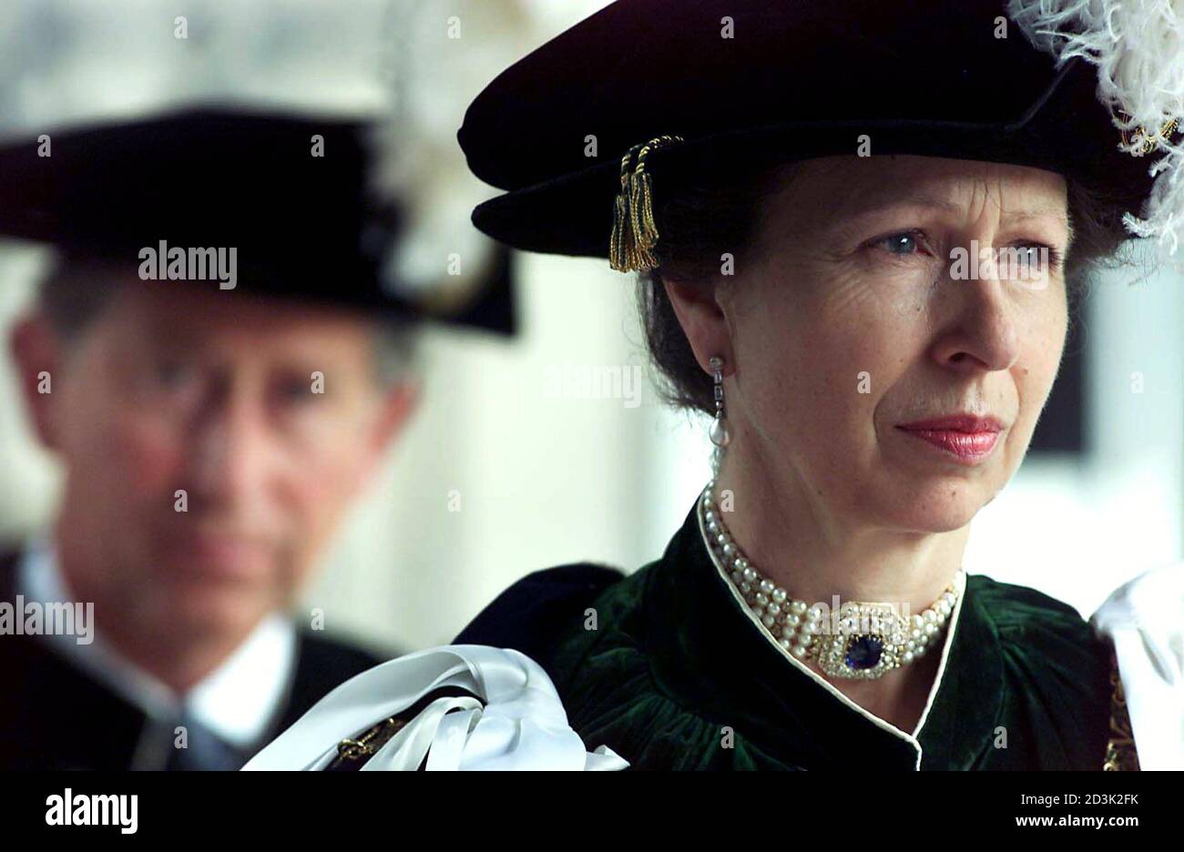 Anne Prince's Instagram, Twitter & Facebook on IDCrawl